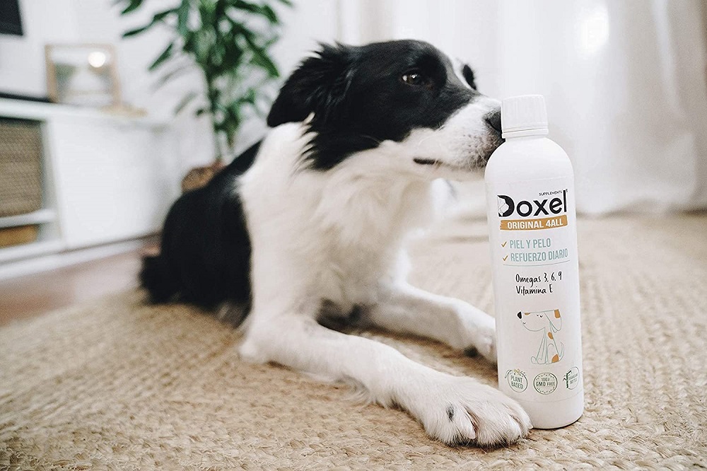 Doxel Original 4All - SitandPlas SITANDSHOP